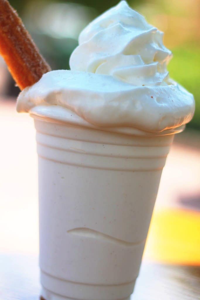 10 Best Ice Cold Snacks at Disney World - Urban Tastebud Disney