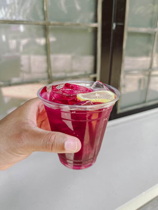 Violet Sake (EPCOT Japan) - Urban Tastebud Disney