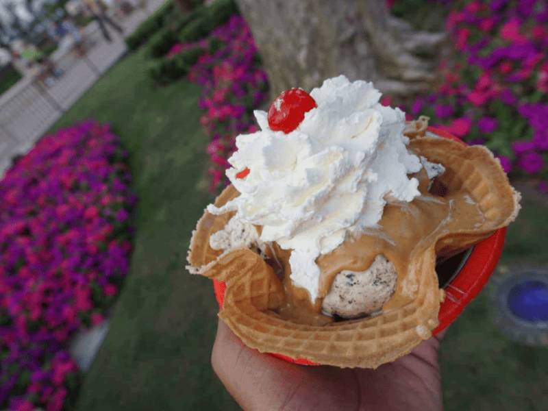 Is the Disney Dining Plan worth it? (Prices, Credits, & Restaurants)